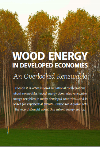 Wood Energy in Developed Economies: An Overlooked Renewable ...