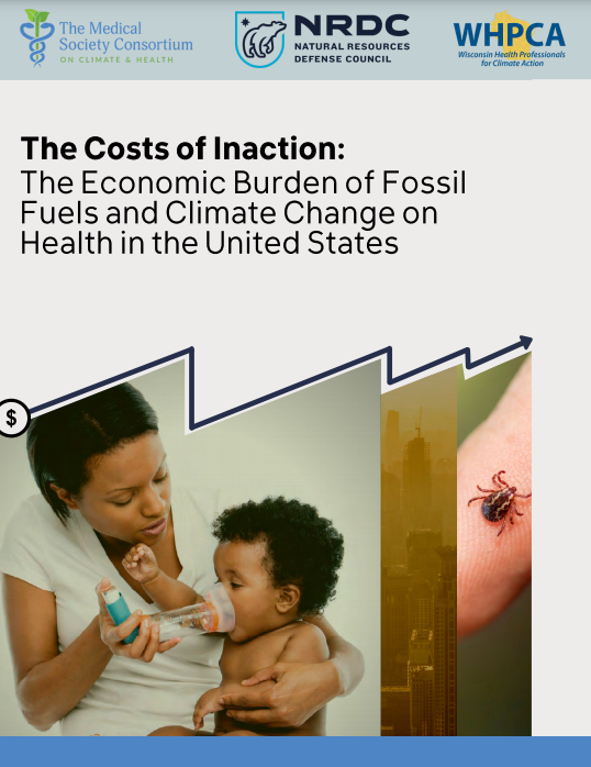 The Costs of Inaction: The Economic Burden of Fossil Fuels and Climate ...
