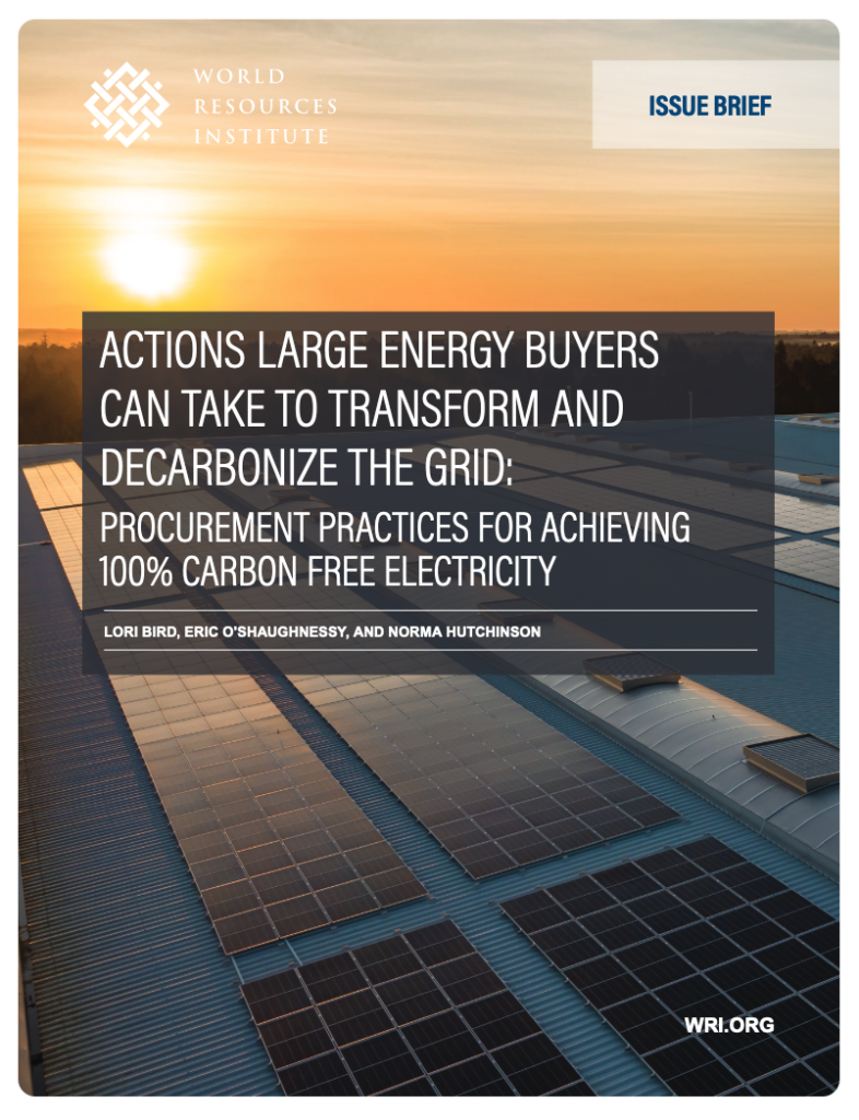 Actions Large Energy Buyers Can Take to Transform and Decarbonize the ...