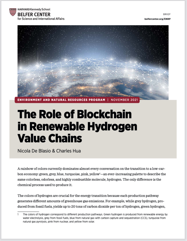 The Role of Blockchain in Green Hydrogen Value Chains - OurEnergyPolicy