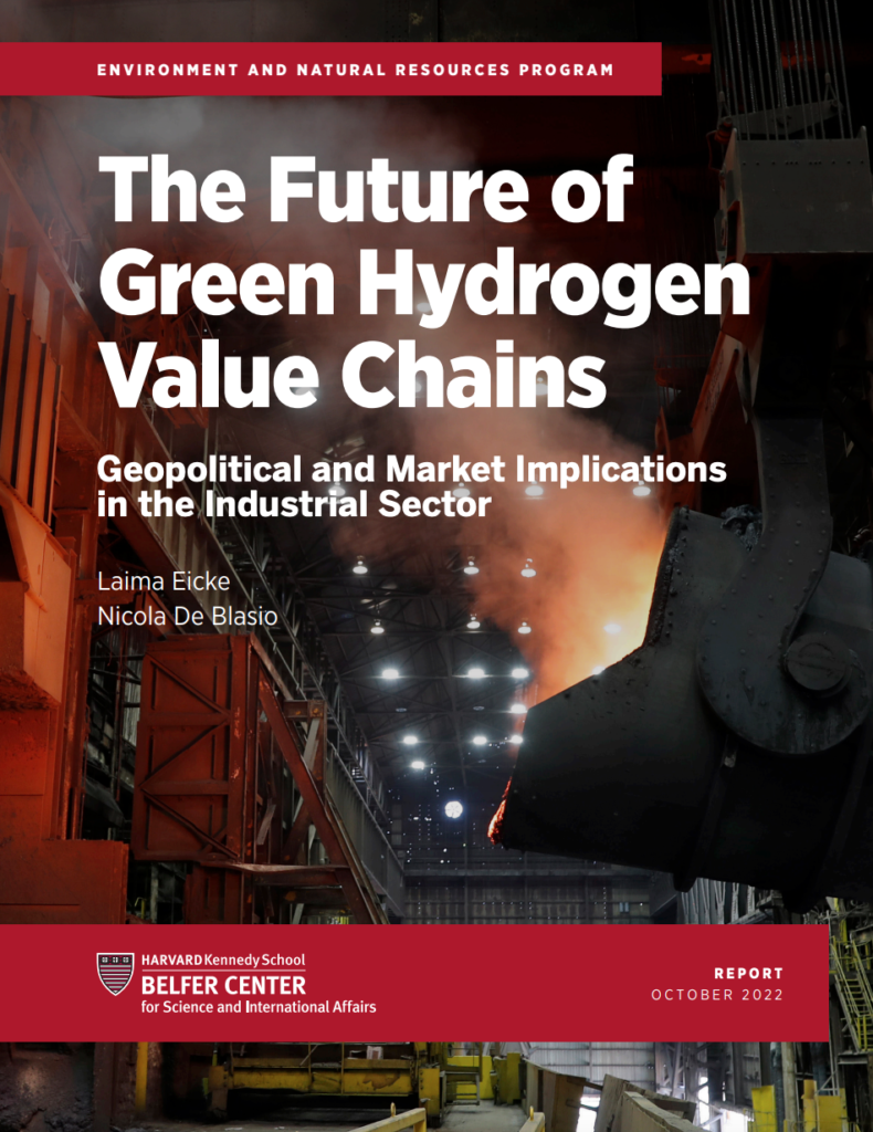 The Future of Green Hydrogen Value Chains: Geopolitical and Market ...