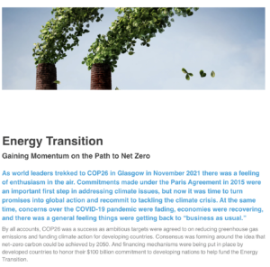 Energy Transition: Gaining Momentum on the Path to Net Zero - OurEnergyPolicy
