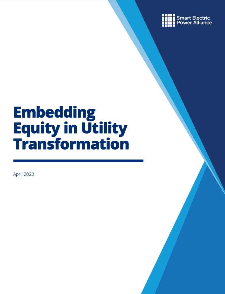 Embedding Equity in Utility Transformation - OurEnergyPolicy