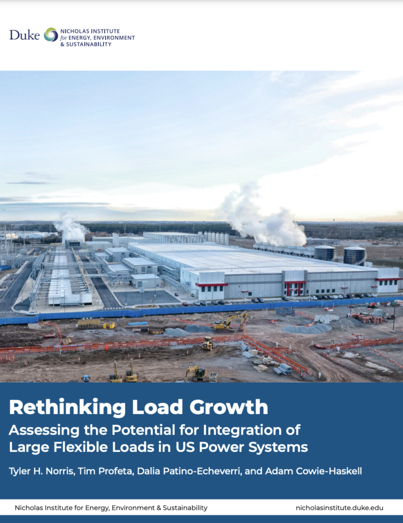 Rethinking Load Growth: Assessing the Potential for Integration of ...